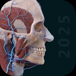 Lymphatic Drainage Of The Head And Neck Node Groups Levels Concise